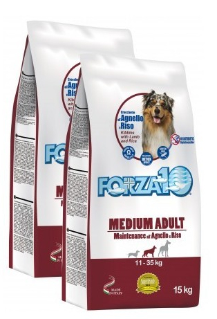 Jak karmić psa w czasie zimy? Wybór karmy na zimę.